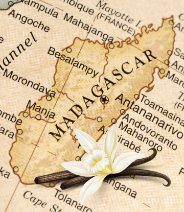 Diversifying Country of Origin is Key for Vanilla | Supply Chain Scene